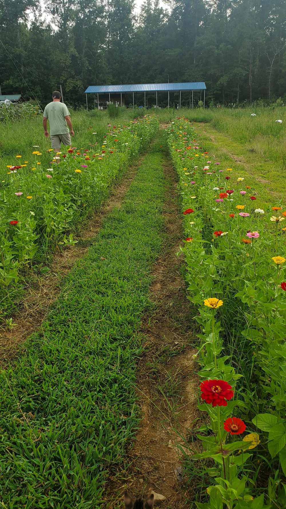 Day in Photos — Blue Rooster Farms