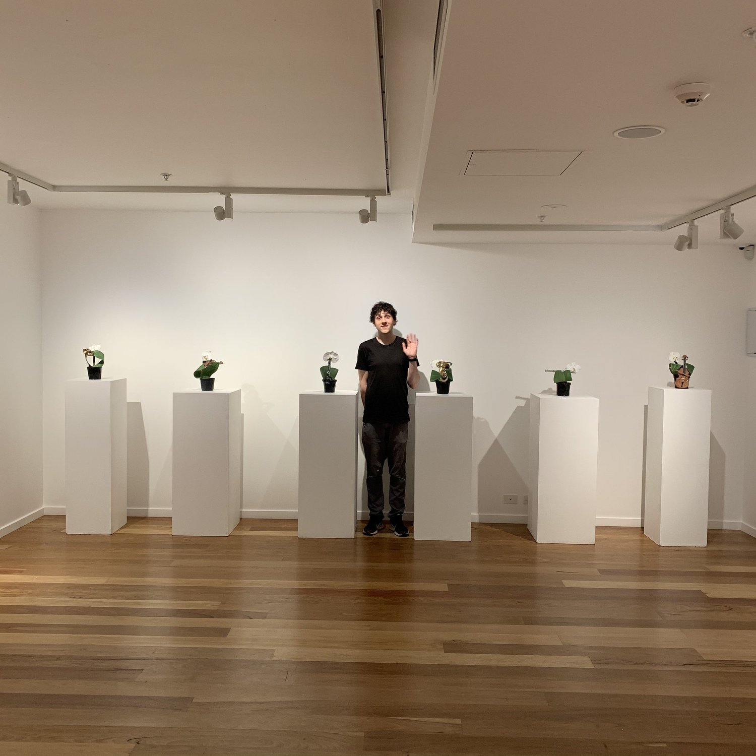 Orchid-stra — Kenny Pittock