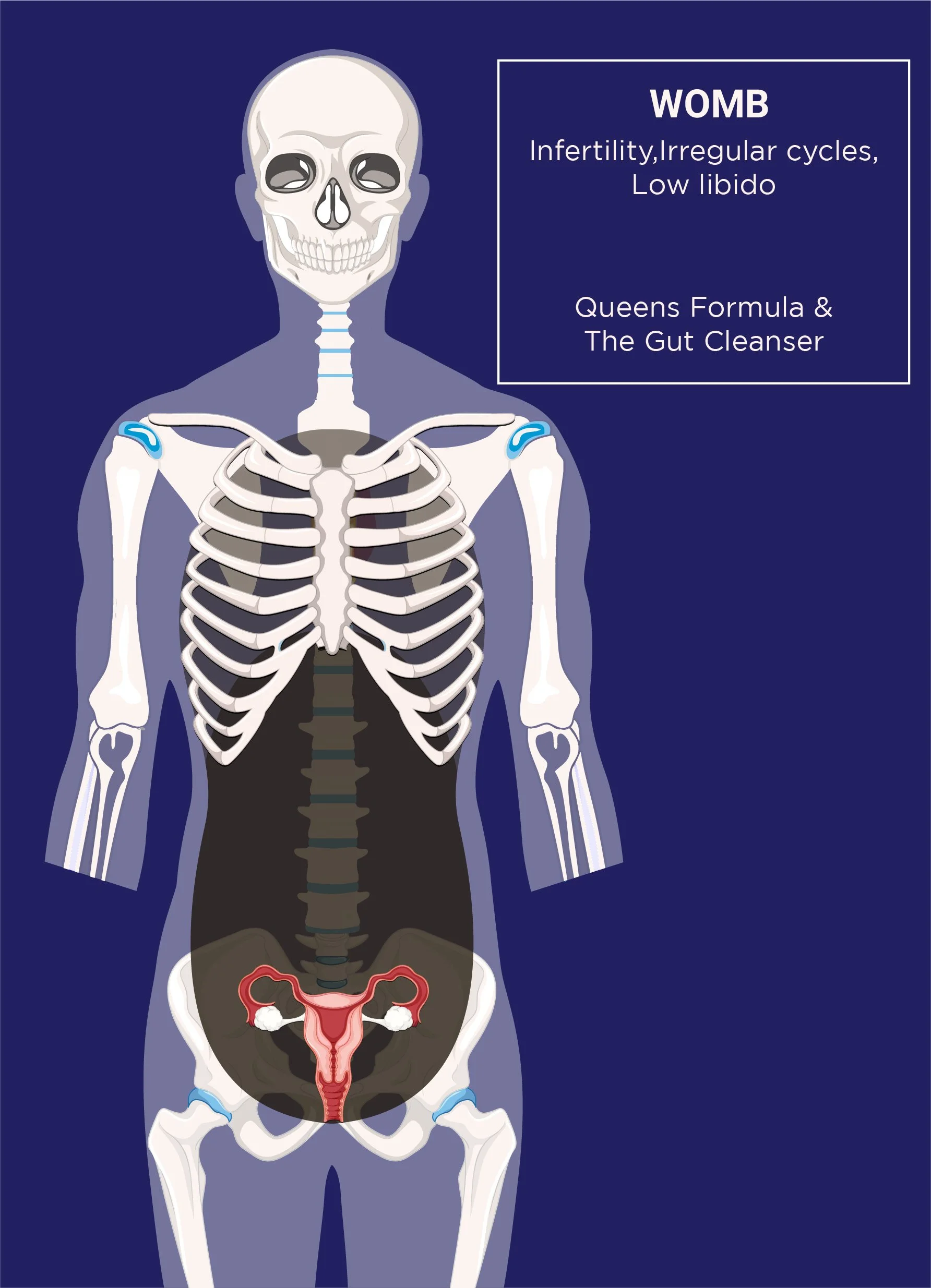 Shop | Detox Tea | Herbal Formula’s Medicine — Life The Plant Way