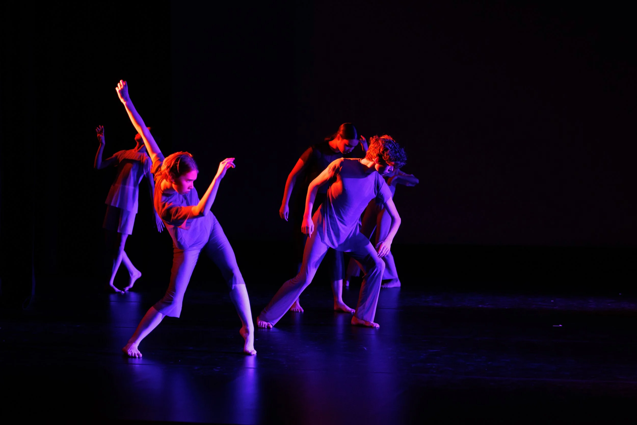 Fees — The Classical Collab