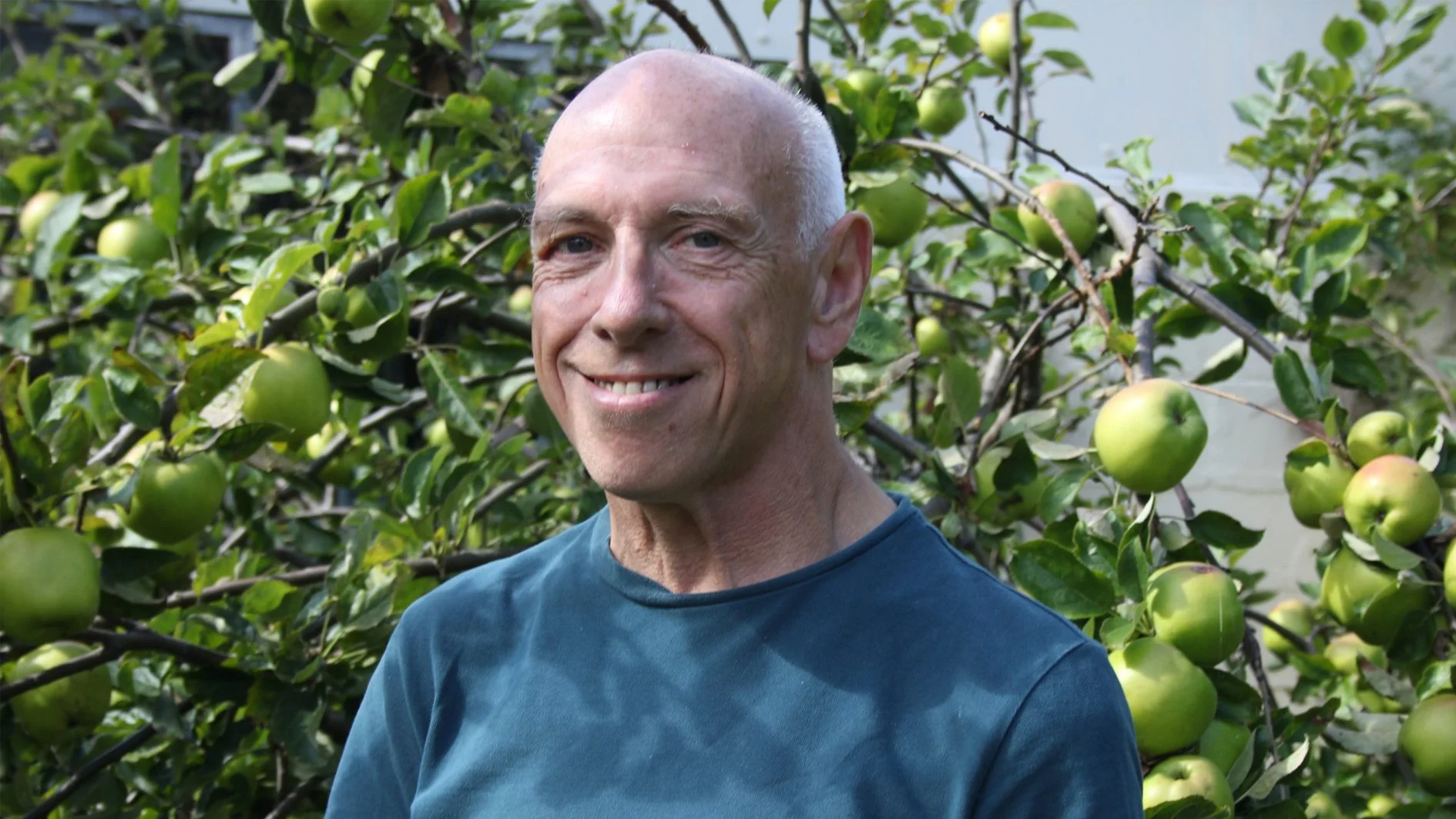 Disability Arts Cymru