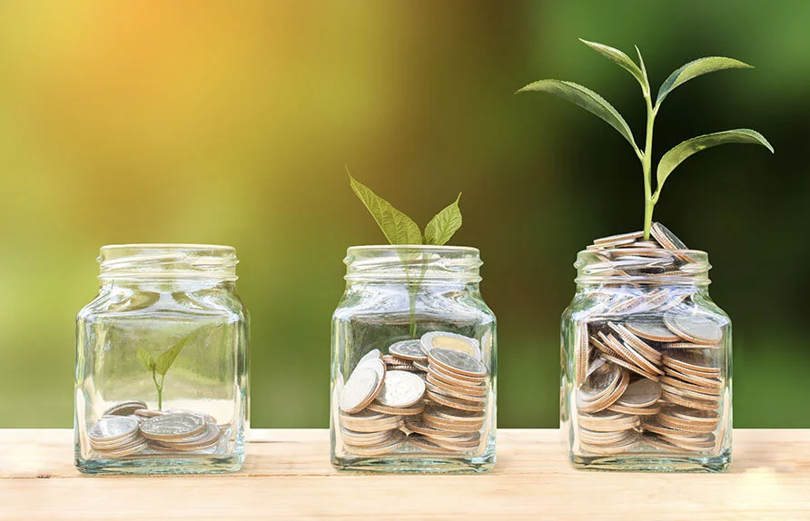 Savings and Investments — Harvest Associates