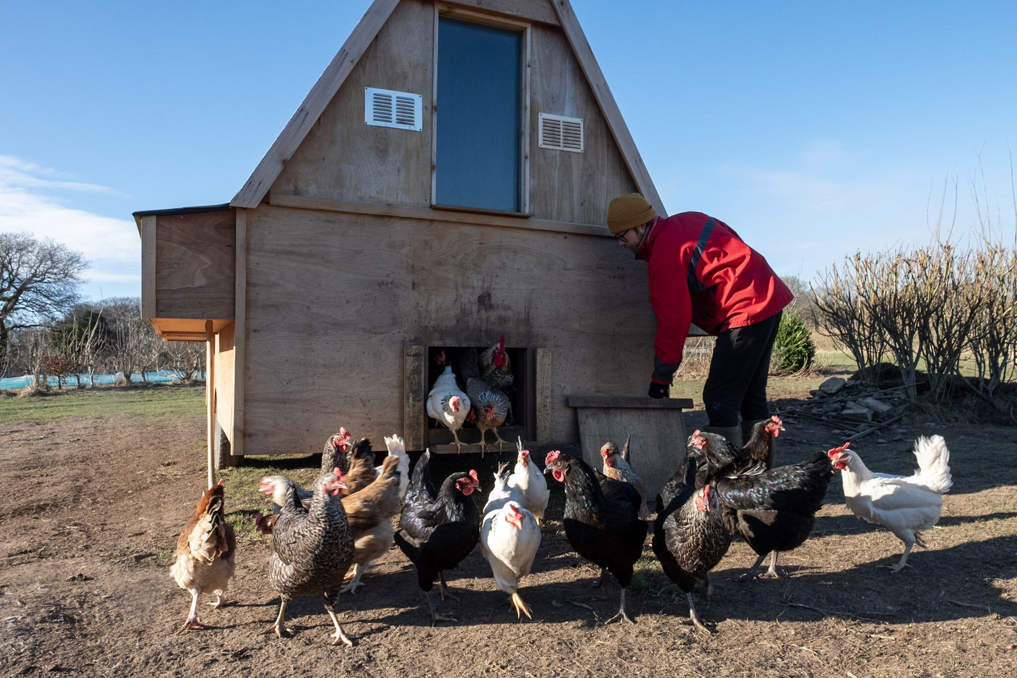 Pandy Farm