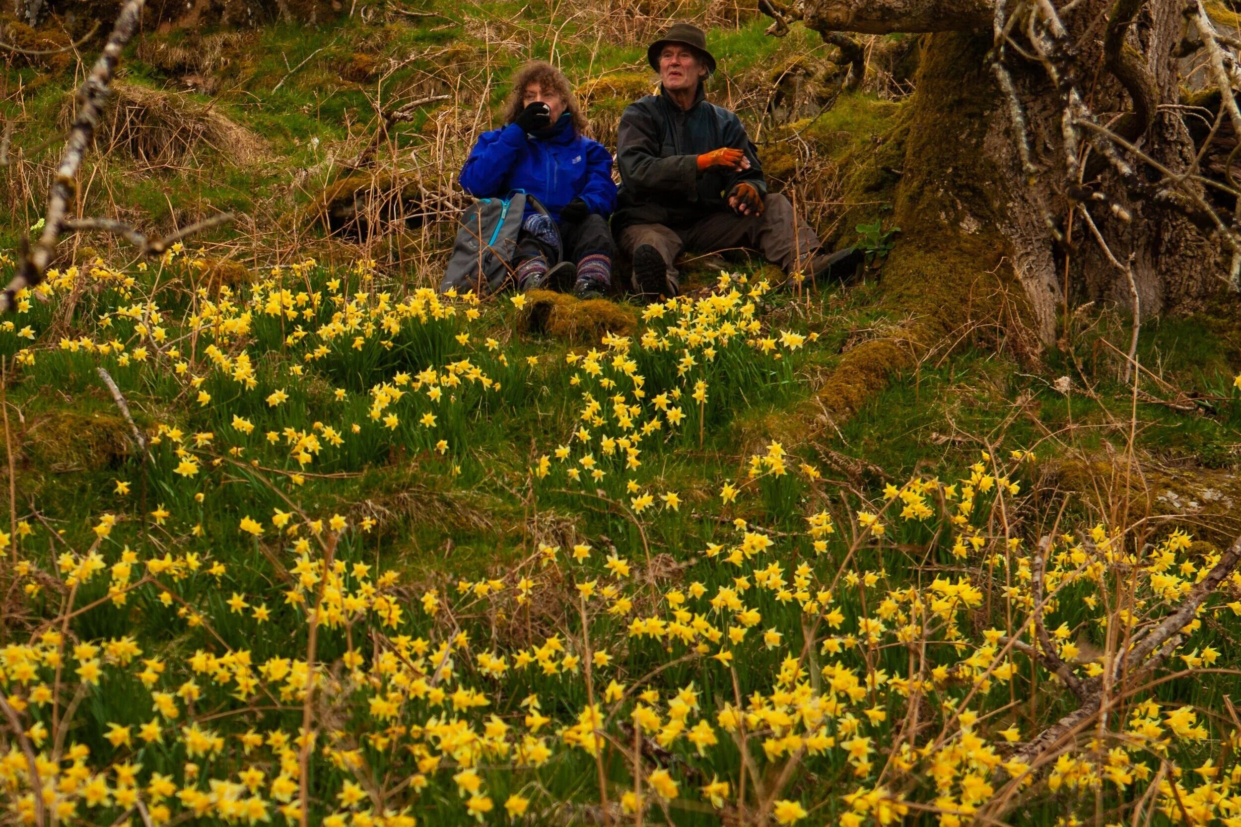 About — Pandy Farm