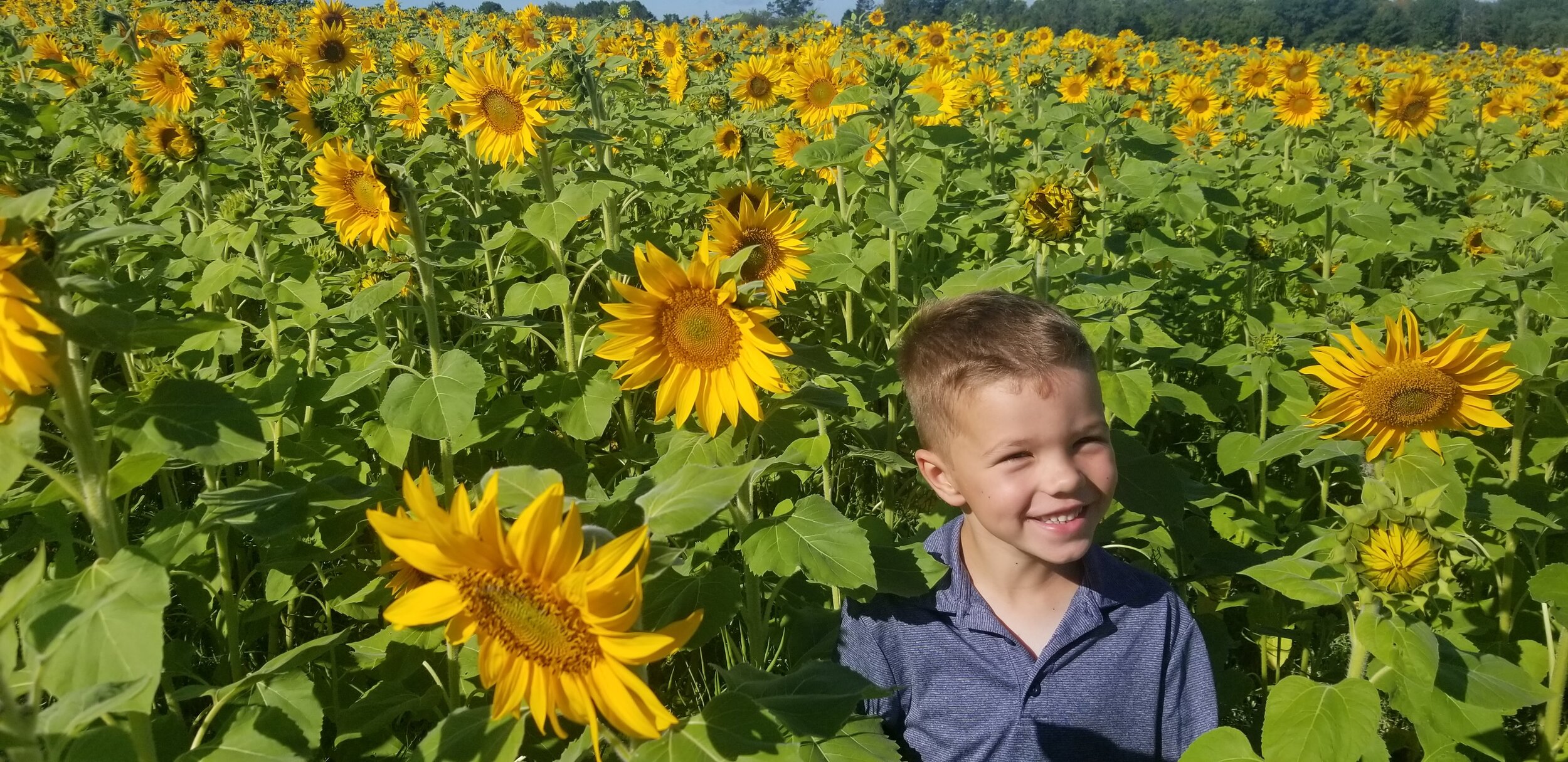 About Us — Hennigar's Farm Market