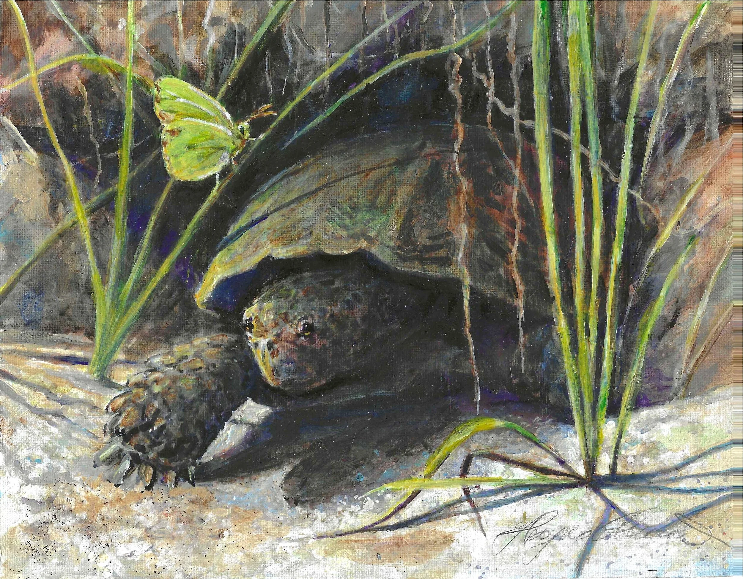 What's New — Wildlife Art