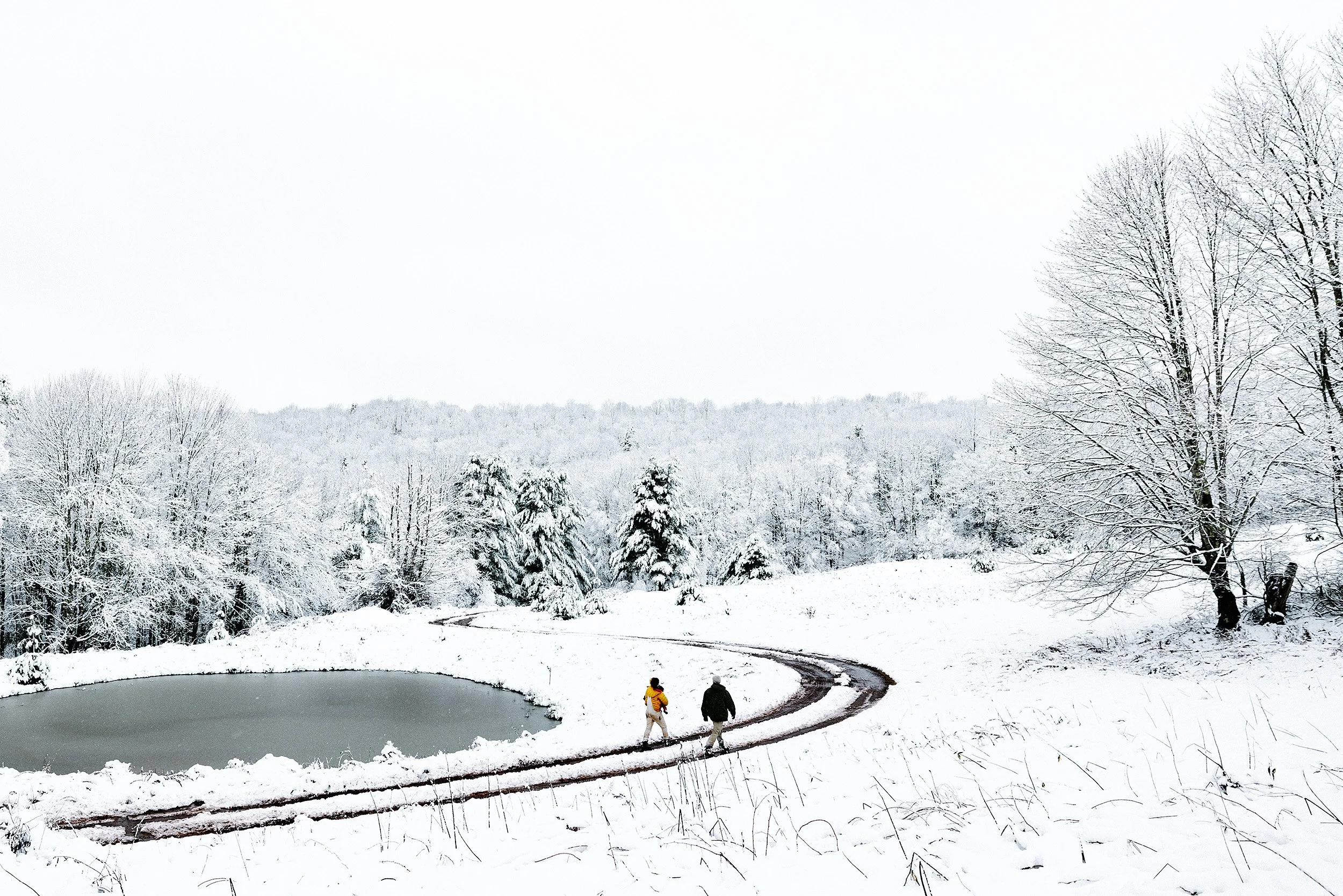 Contact 2 — WILD WE ROAM