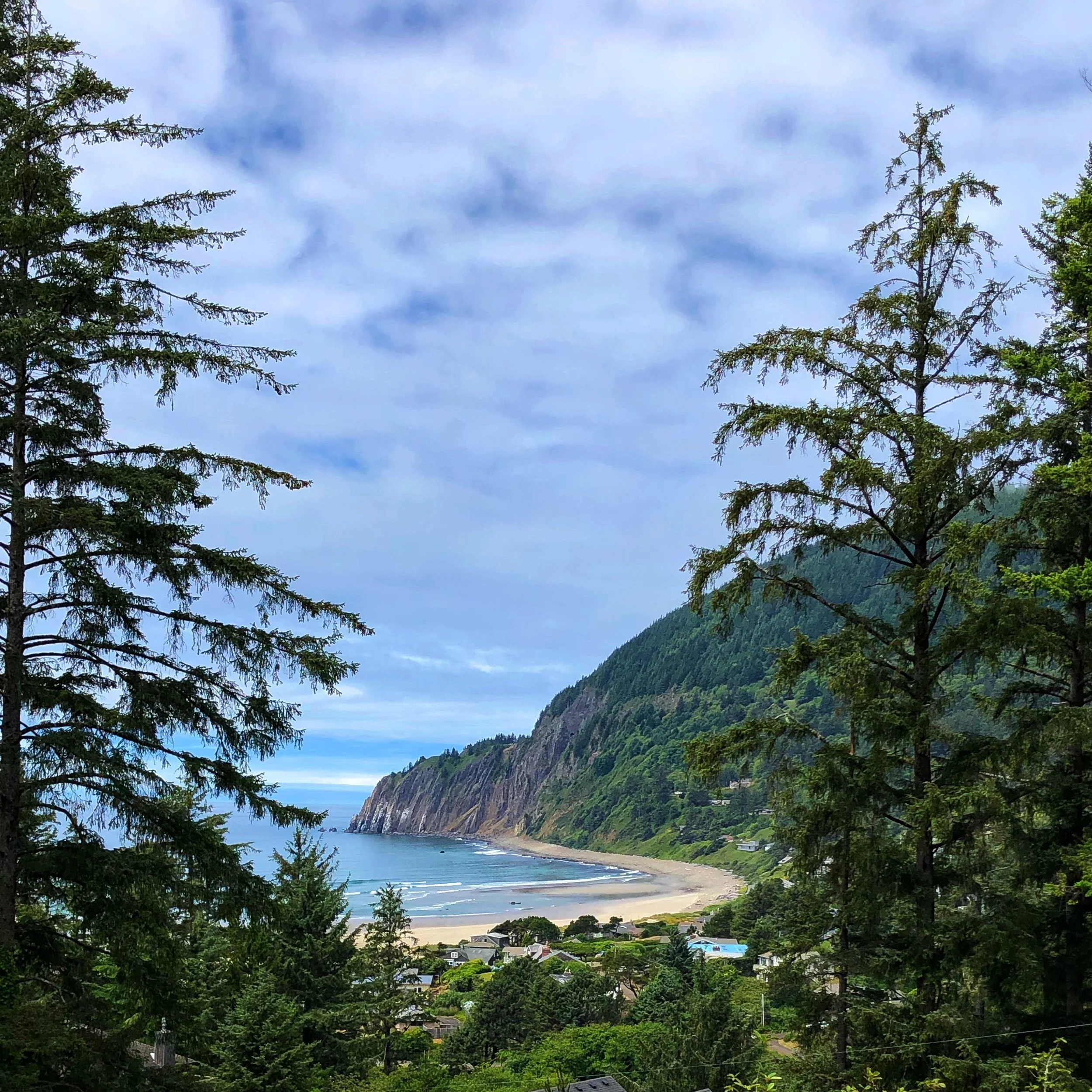 Transform Your Favorite Landscapes into Chic Stickers with Procreate ...