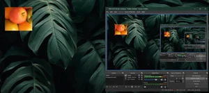 OBS Studio - How To Crop, Resize, Stretch & Rotate Sources — Tech How