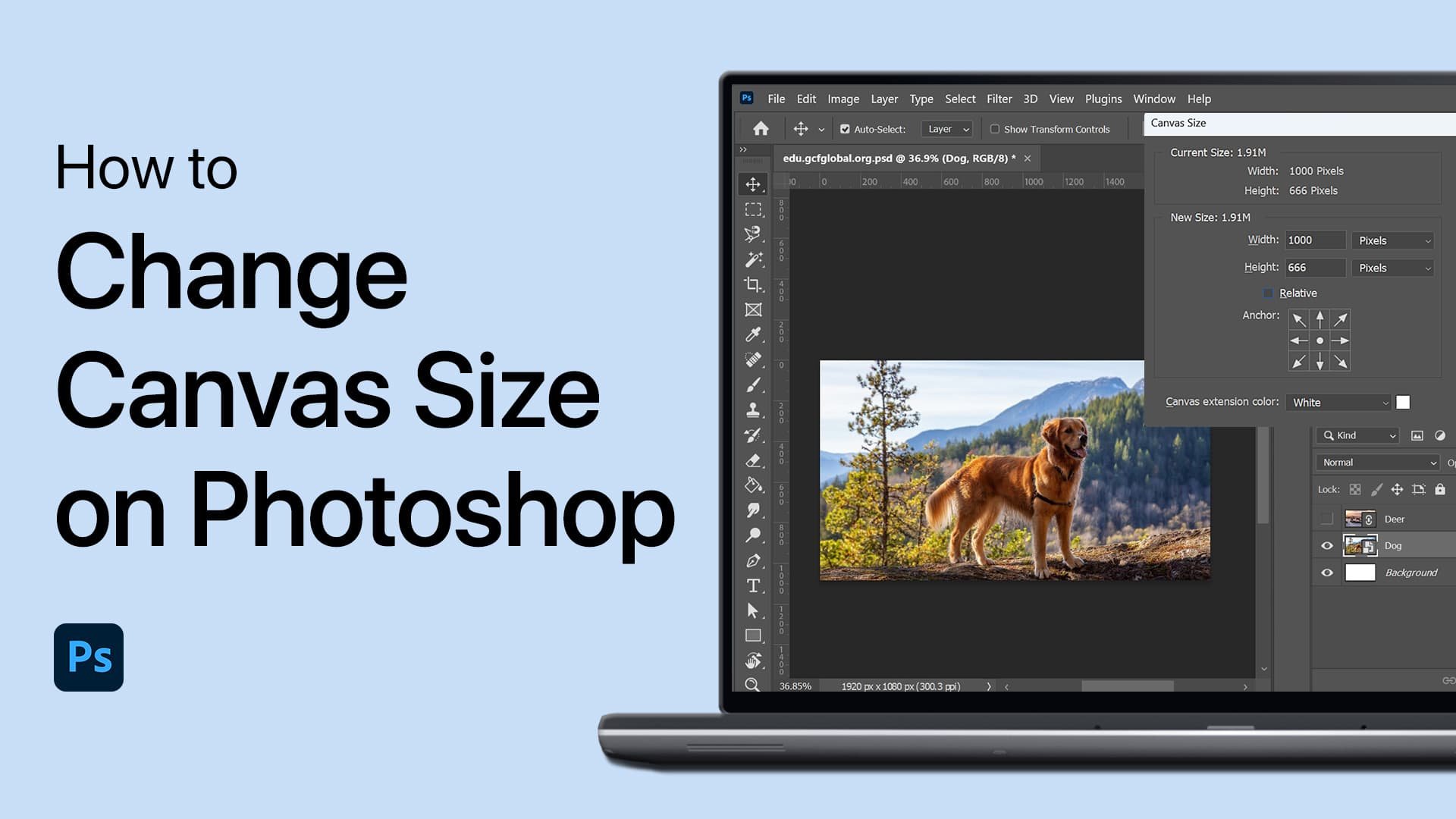 Photoshop 2025 Tutorial - Isaac Gray Photoshop 2025 Tutorial - Isaac Gray