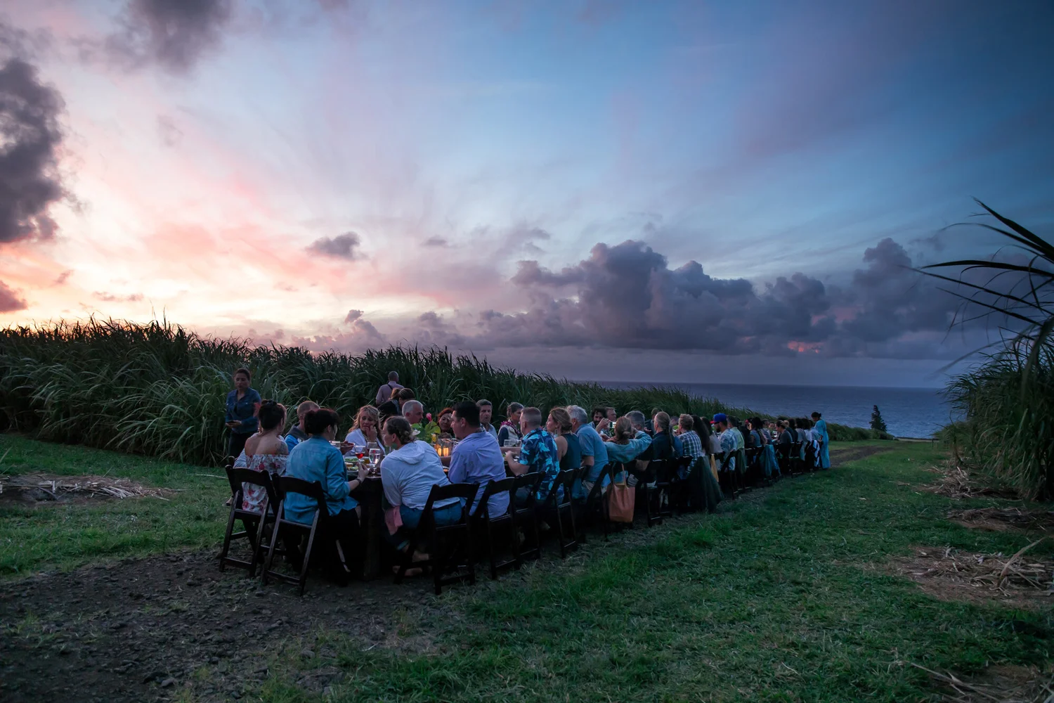 Supper Series | Discover & Dine - Book Now — Secret Supper