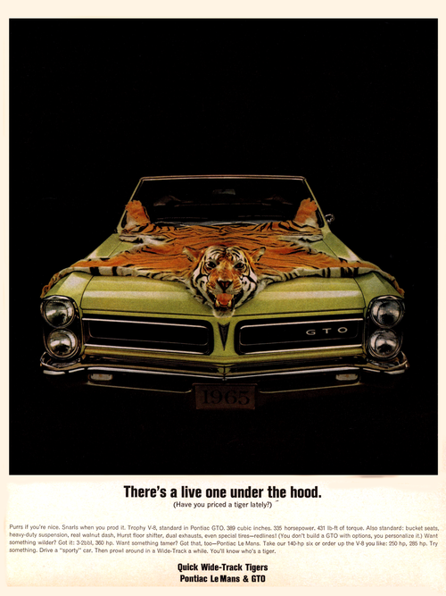 1965 Pontiac GTO — GTO Association of America