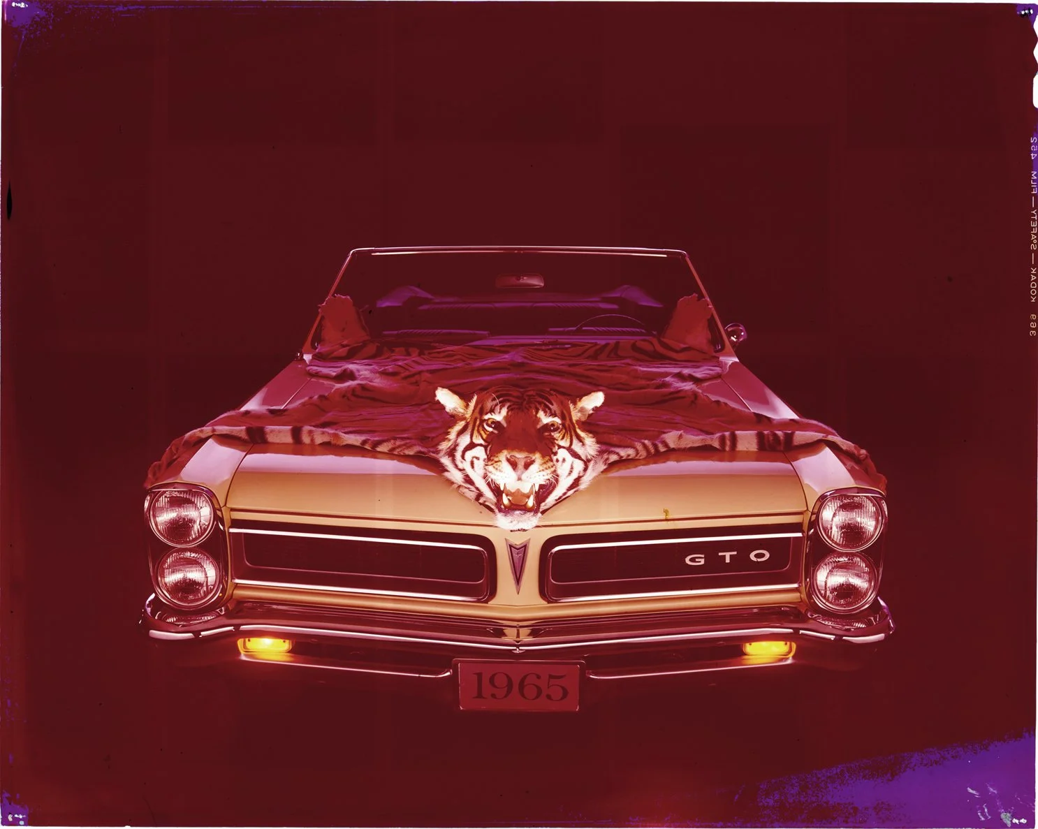 1965 Pontiac GTO — GTO Association of America