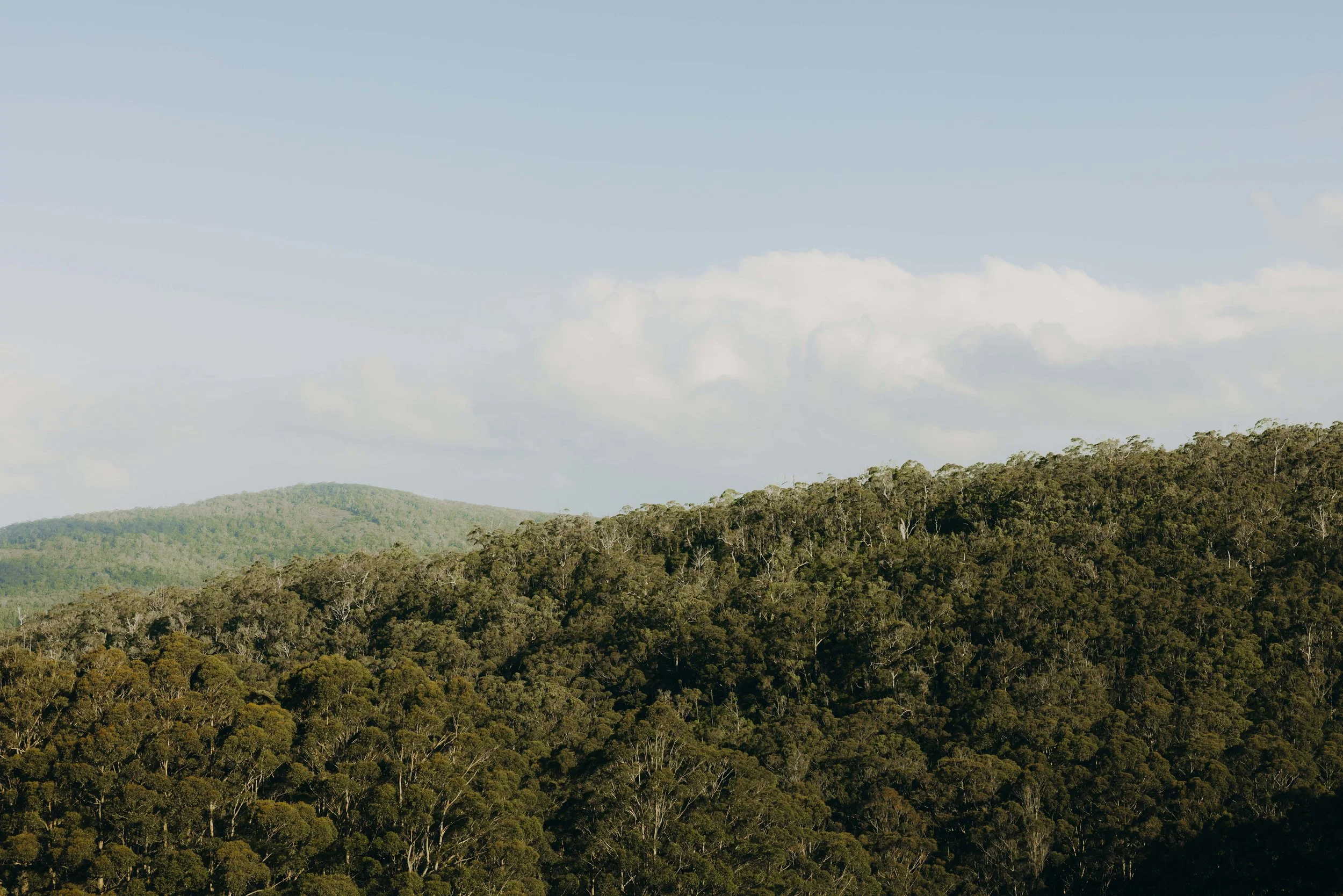 Mode Healthcare: Leading the Way in Natural Therapies for Holistic Well ...