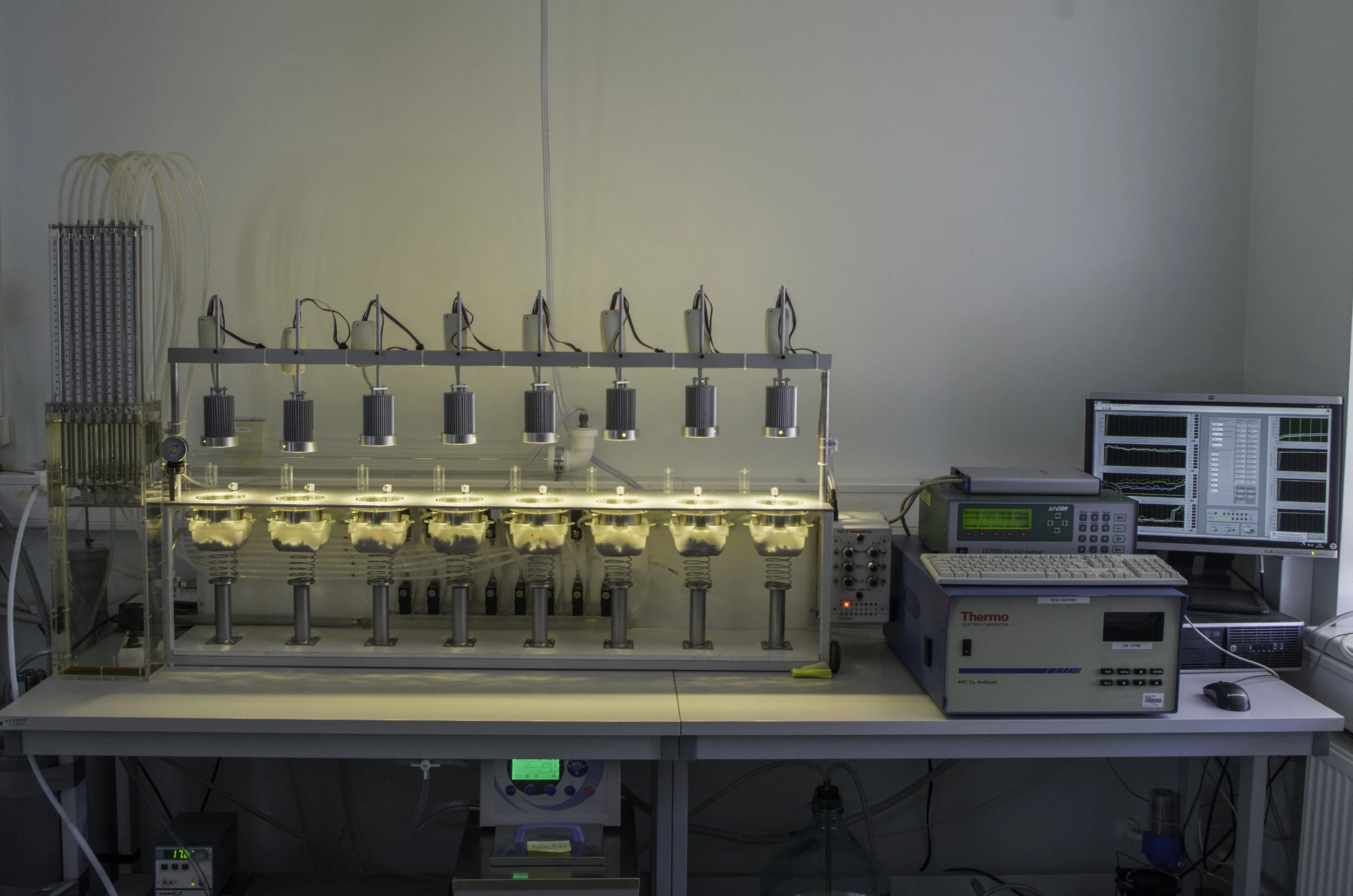 Smaller plants — Plant Invent