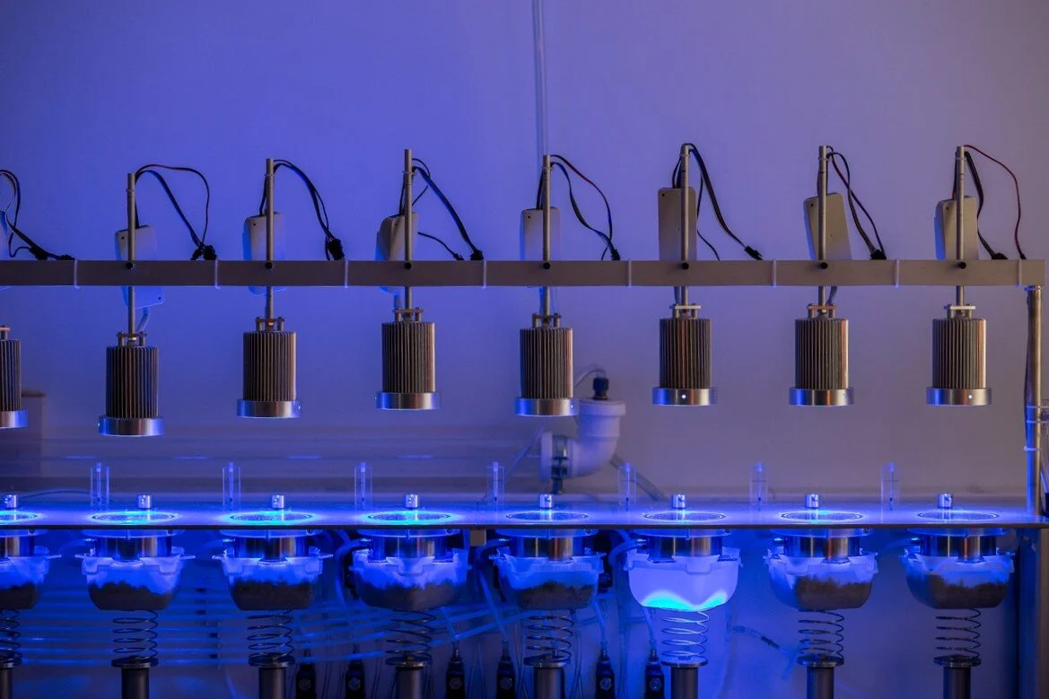 Products — Plant Invent