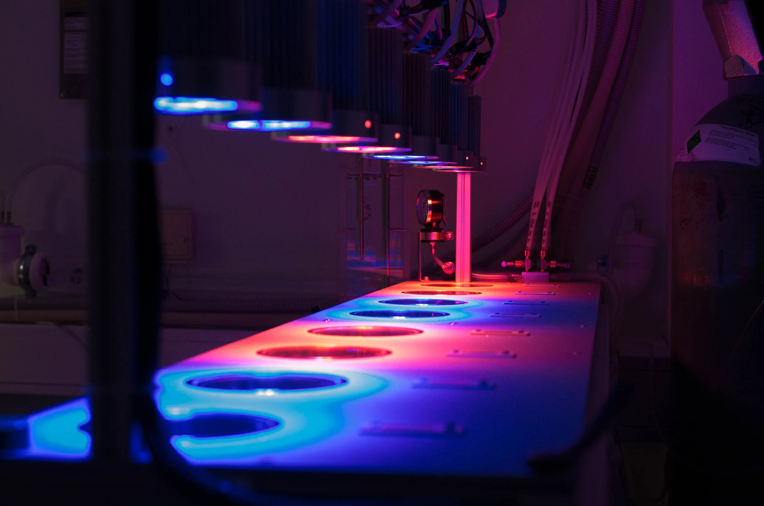 Products — Plant Invent