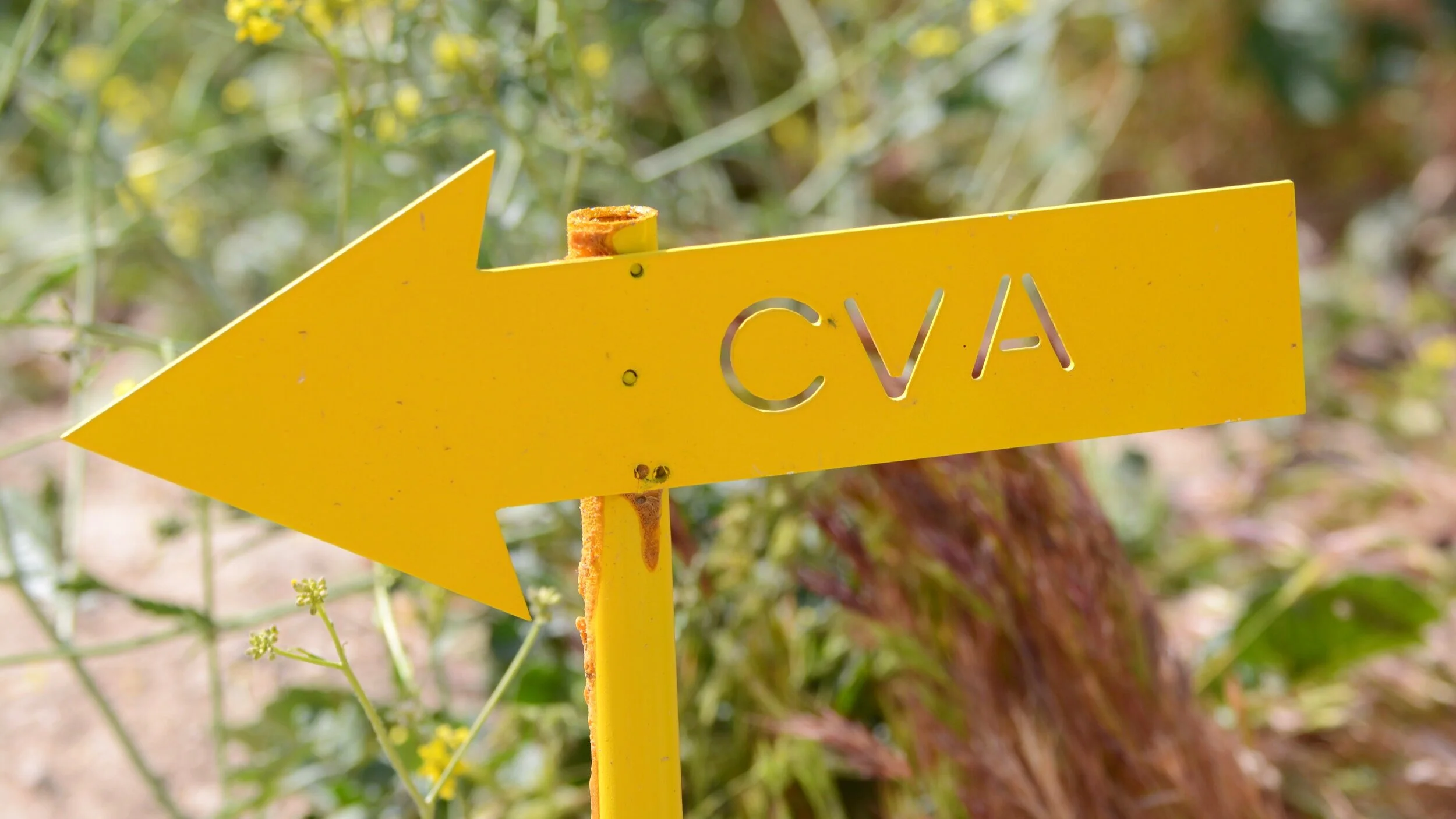 Conejo Valley Archers