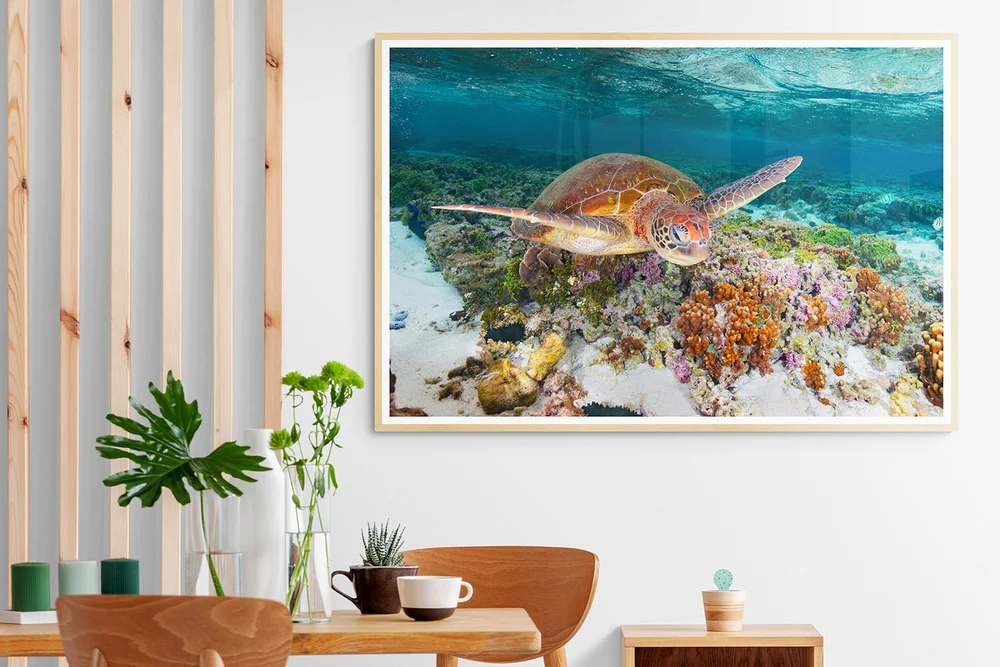 Buy Ocean Photography — Jason James Gallery