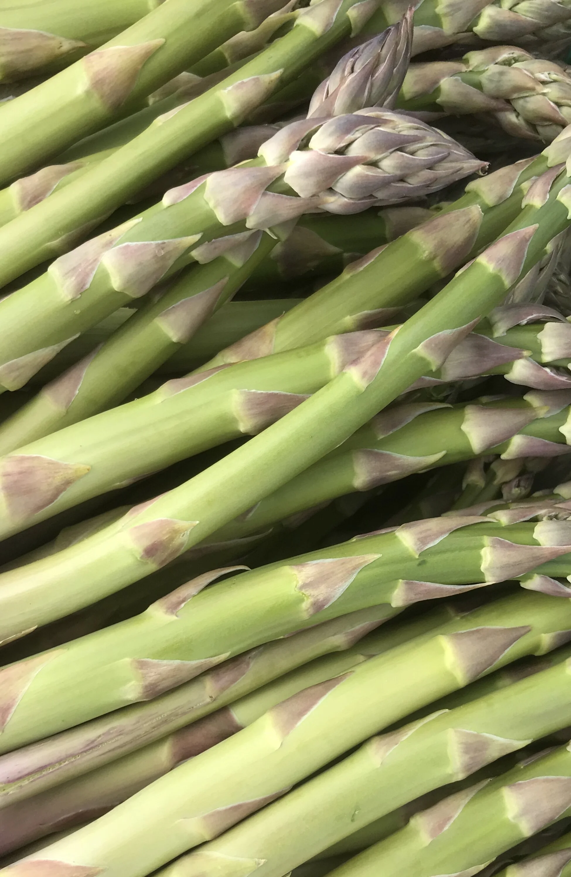 Asparagus — Armston Farm