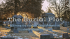 The Burial Plot — SHORTSKIRTSANDSARCASM