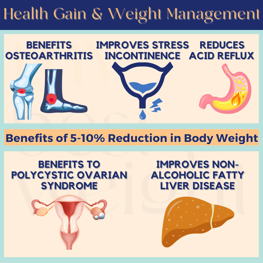 Educational Resources & News — My Best Weight