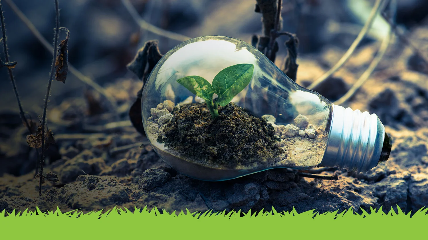 eco tech