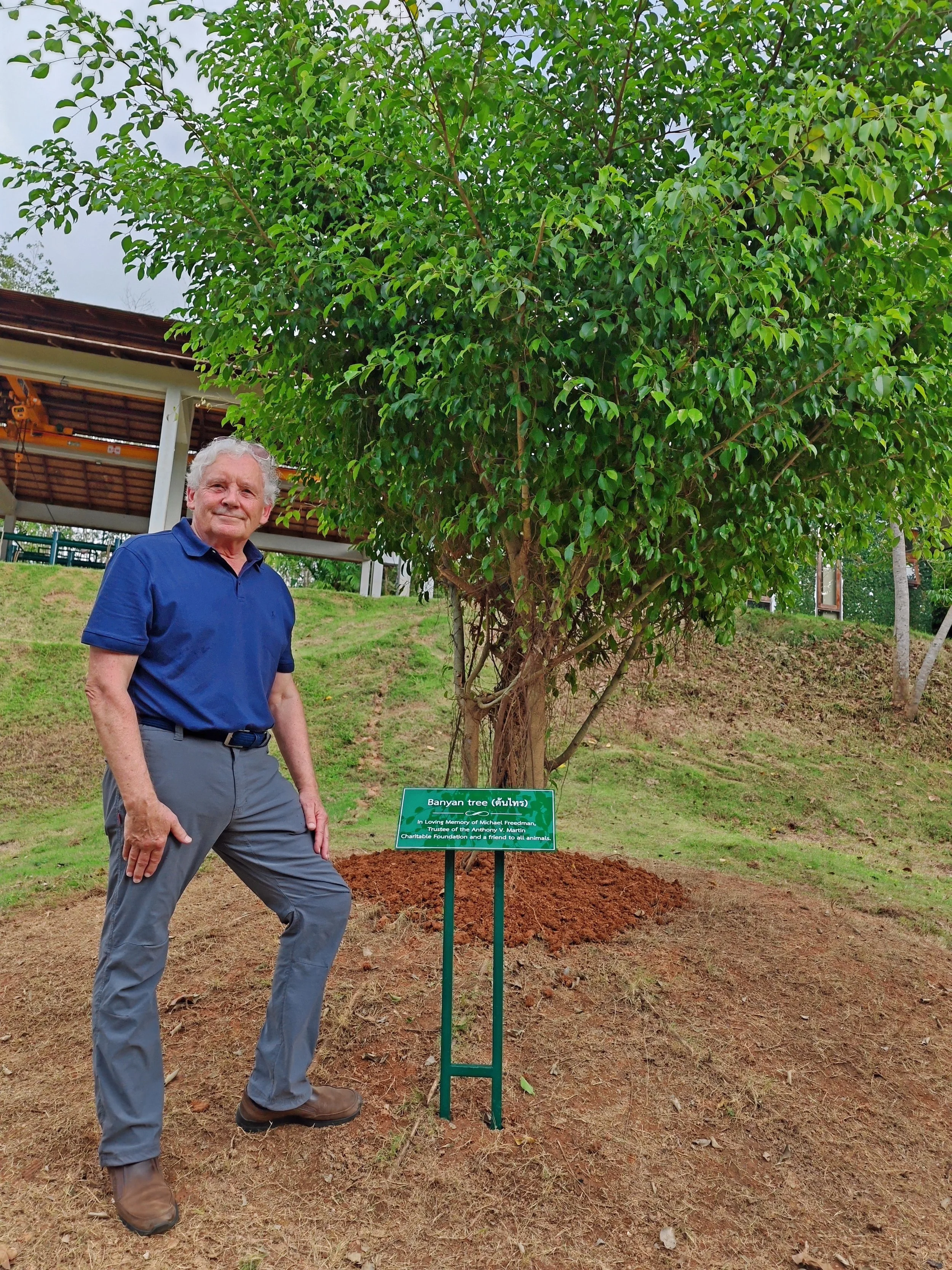Banyan Tree Memorial — The AVM Foundation