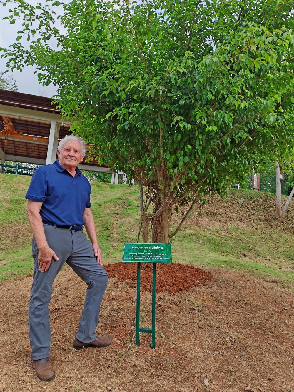 Banyan Tree Memorial — The AVM Foundation