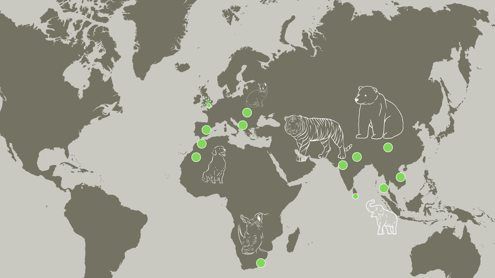 Latest News — The AVM Foundation