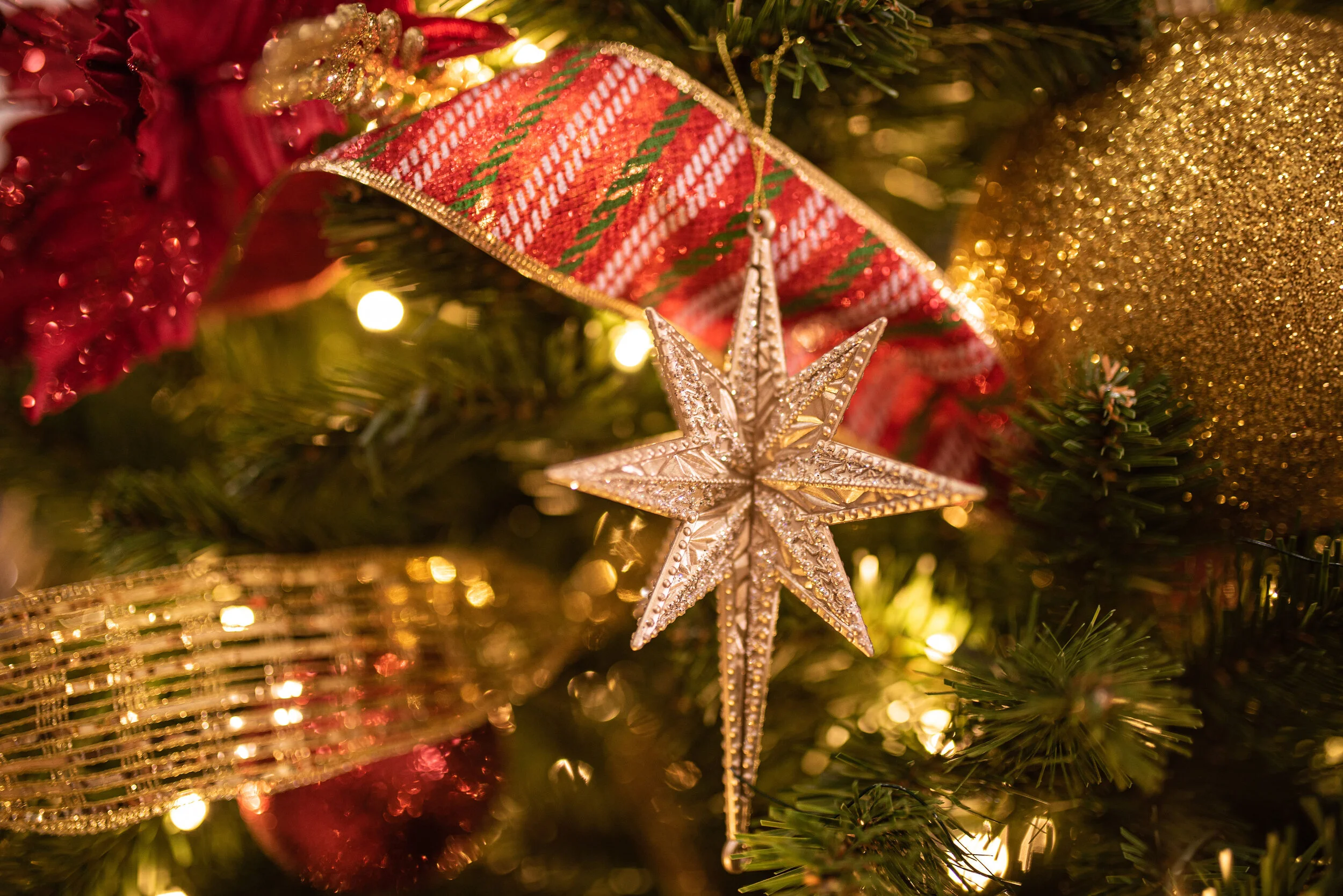 Christmas Tree Designs | Luxury Christmas Trees Decorations — Rockwall ...