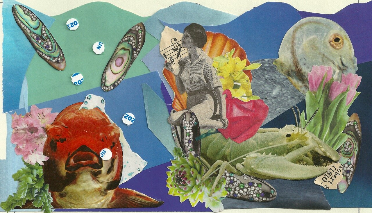 WILDER COLLAGE WILDER COLLAGE