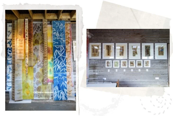 About Amanda — Amanda Duke