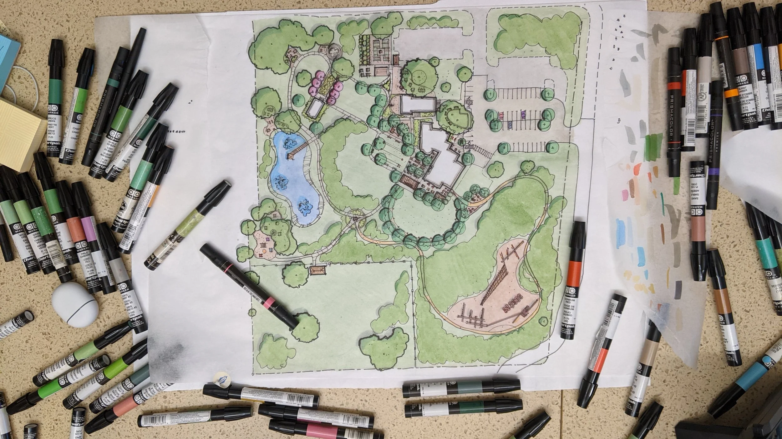 Coleman & Associates Landscape Architecture - Austin