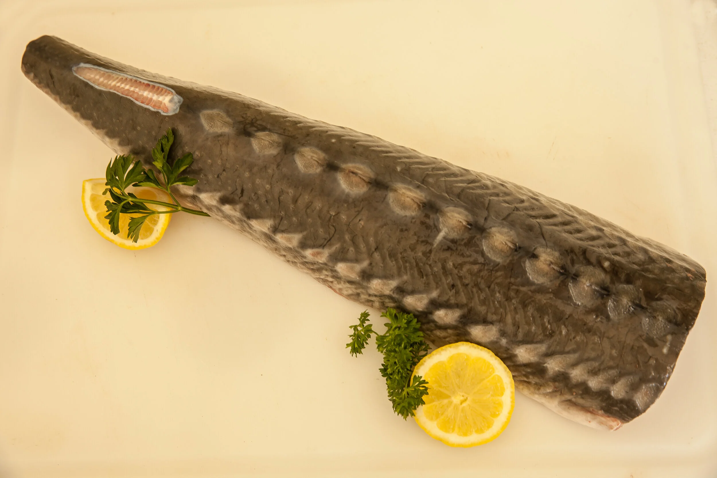 Shop Fresh Sturgeon Steaks and Filets — Oregon Royal Sturgeon Company