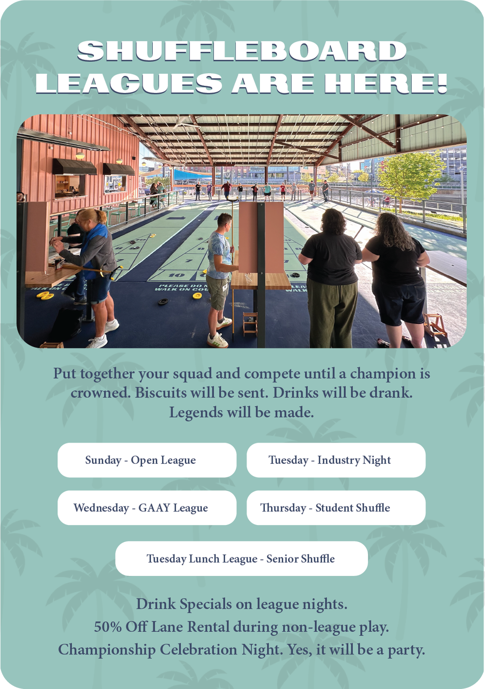 Shuffleboard — Lansing Shuffleboard & Social Club