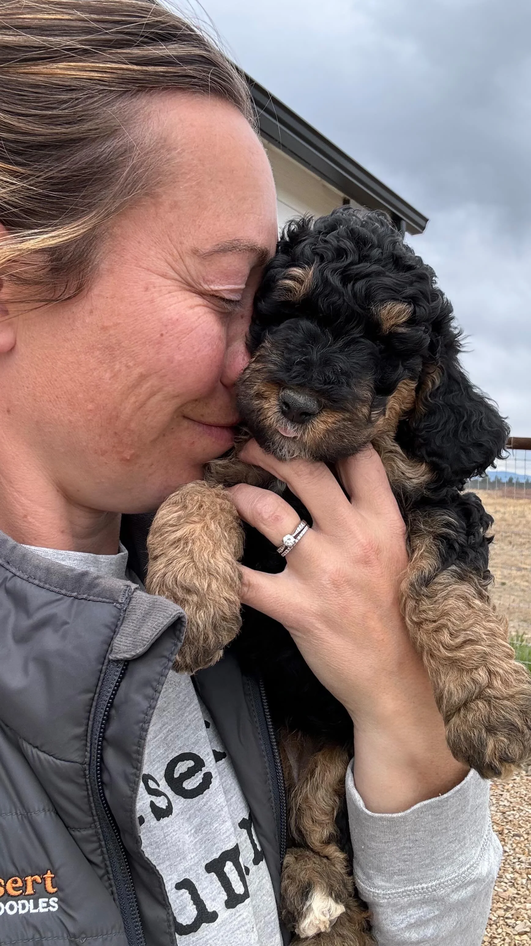 Goldendoodle & Bernedoodle Puppies For Sale: Bend - Portland Oregon ...