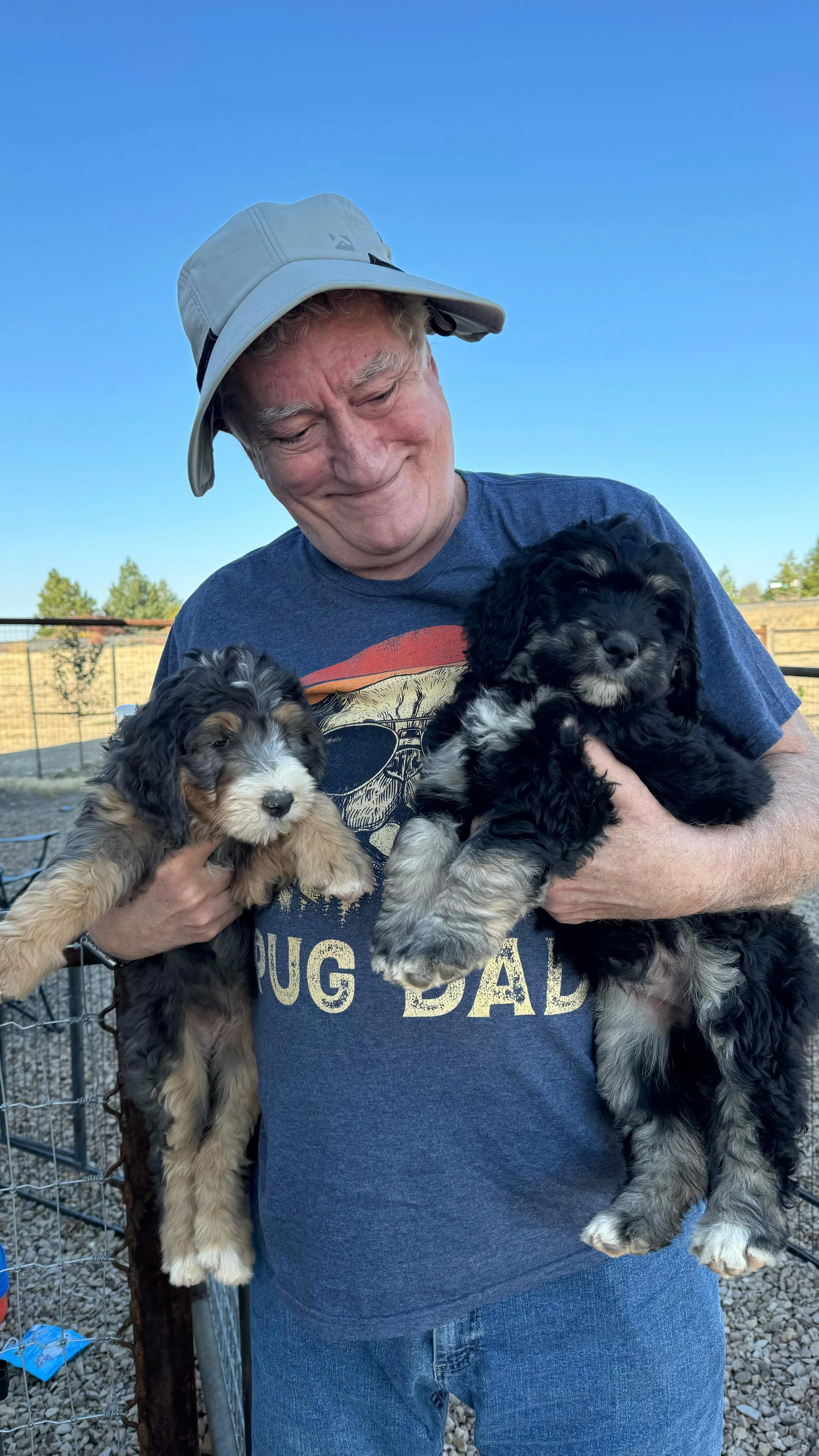 Goldendoodle & Bernedoodle Puppies For Sale: Bend - Portland Oregon ...