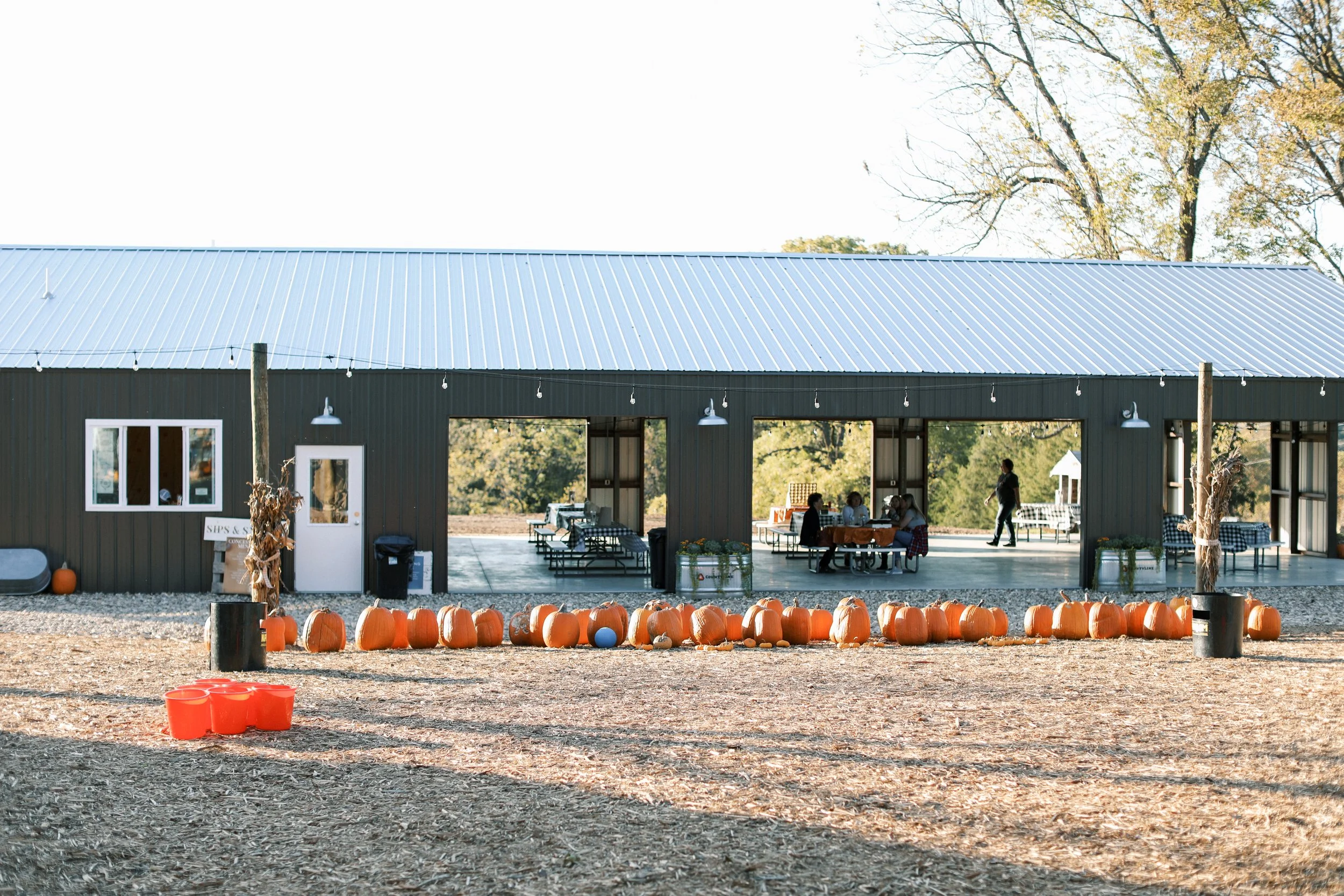 Home | Sycamore Creek Family Ranch