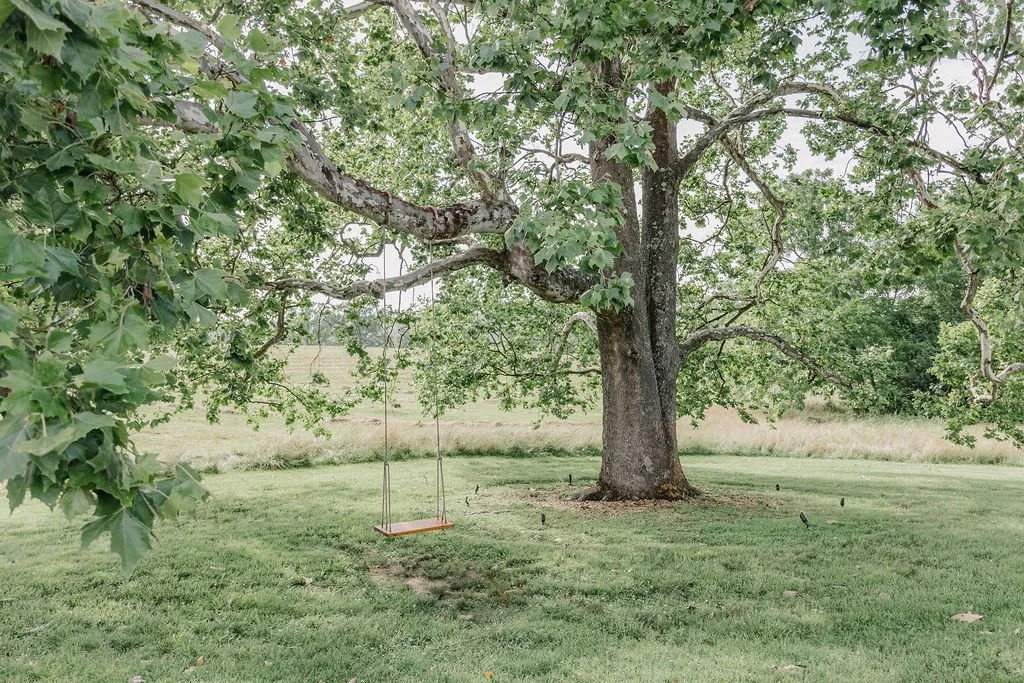 Home | Sycamore Creek Family Ranch