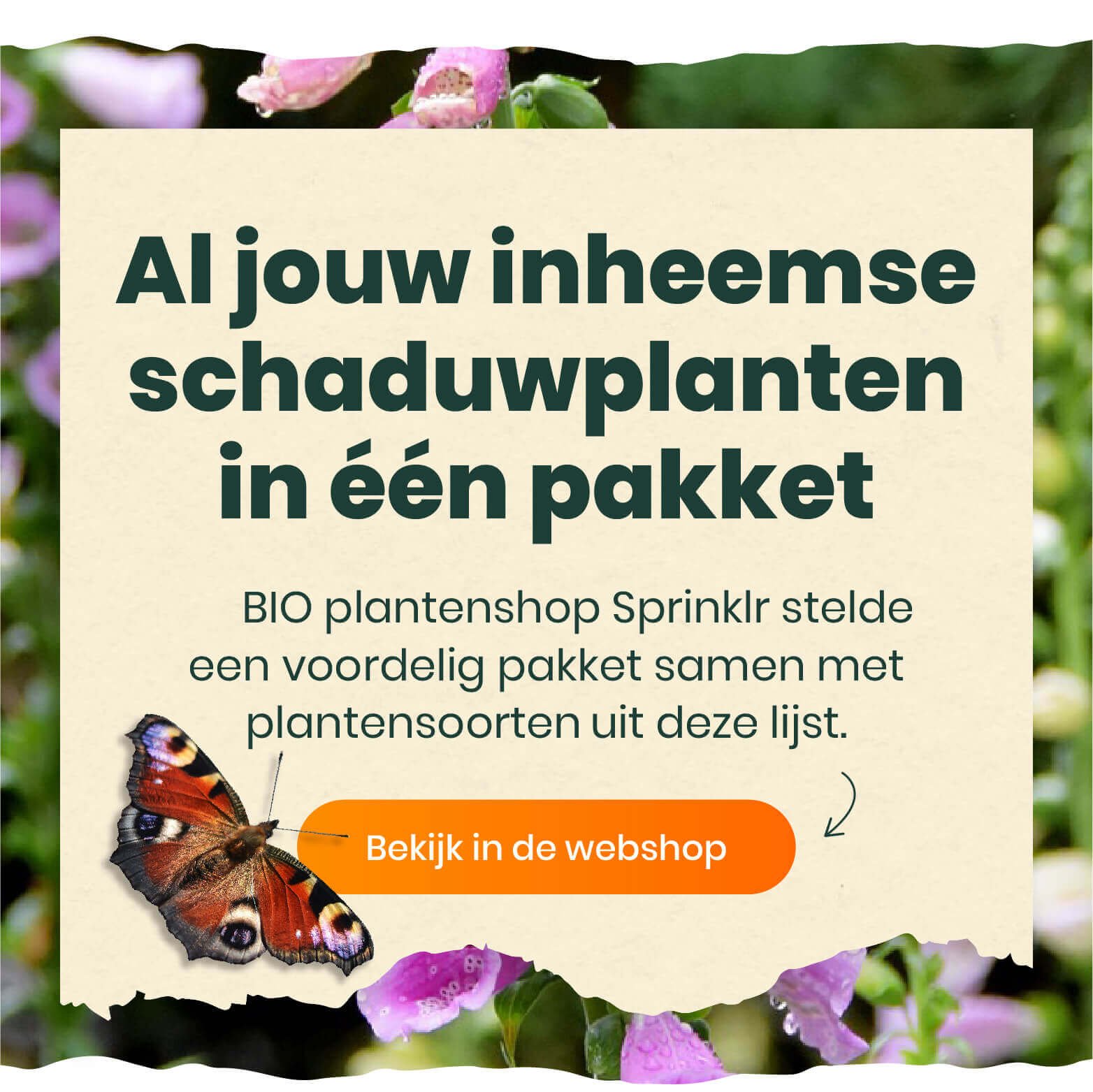 9 Beste Inheemse Schaduwplanten [FOTO’S] — Wildi