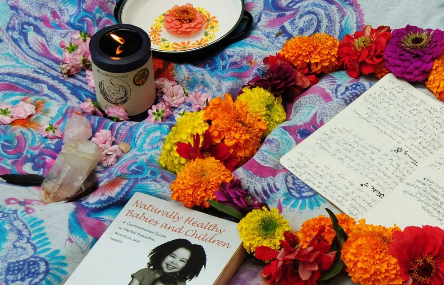 Grounding Before Birth — Emerge with Amy LePage