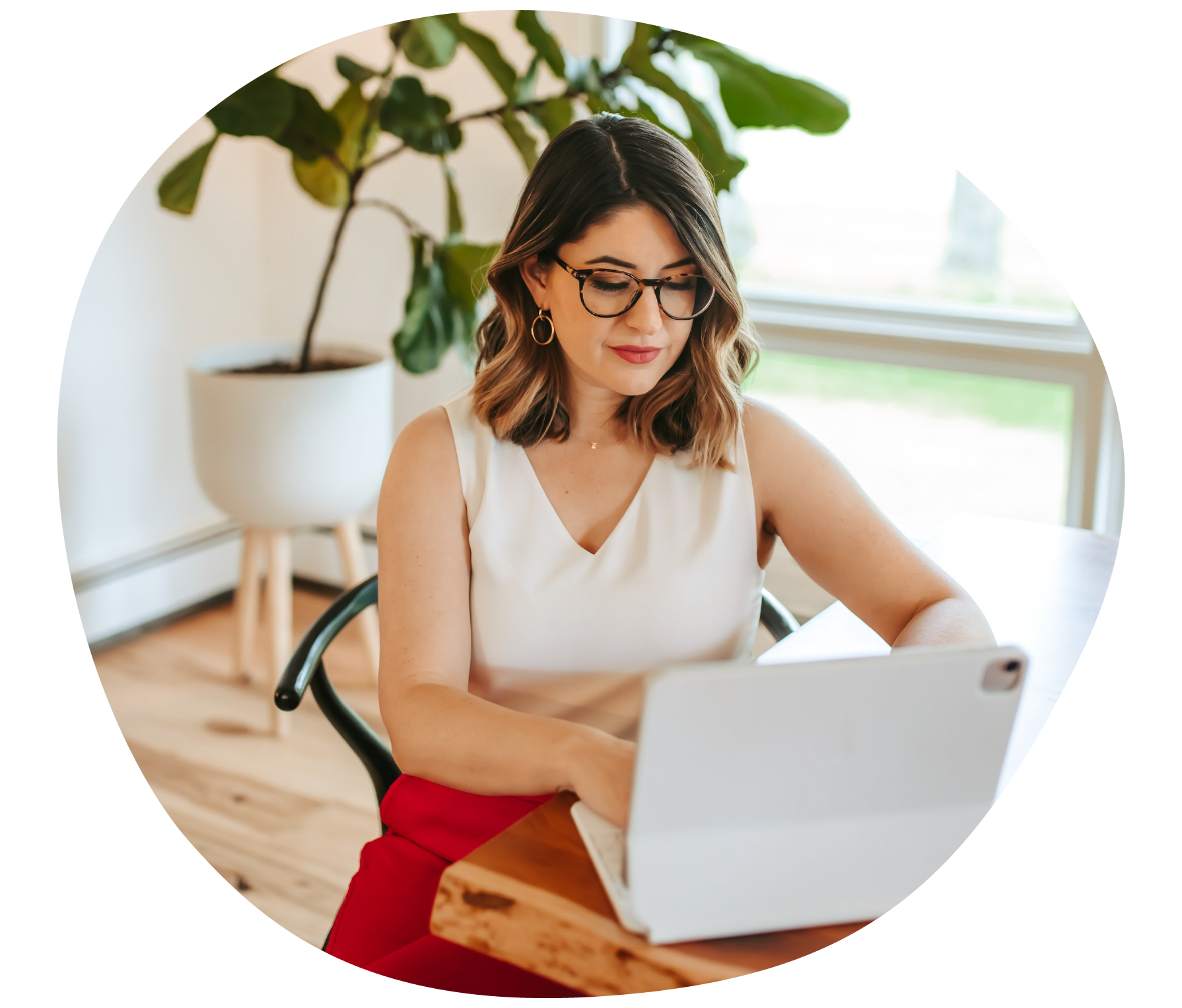 Portfolio — Wild Awake Creative