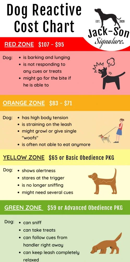 How Much Does Private Dog Training Cost