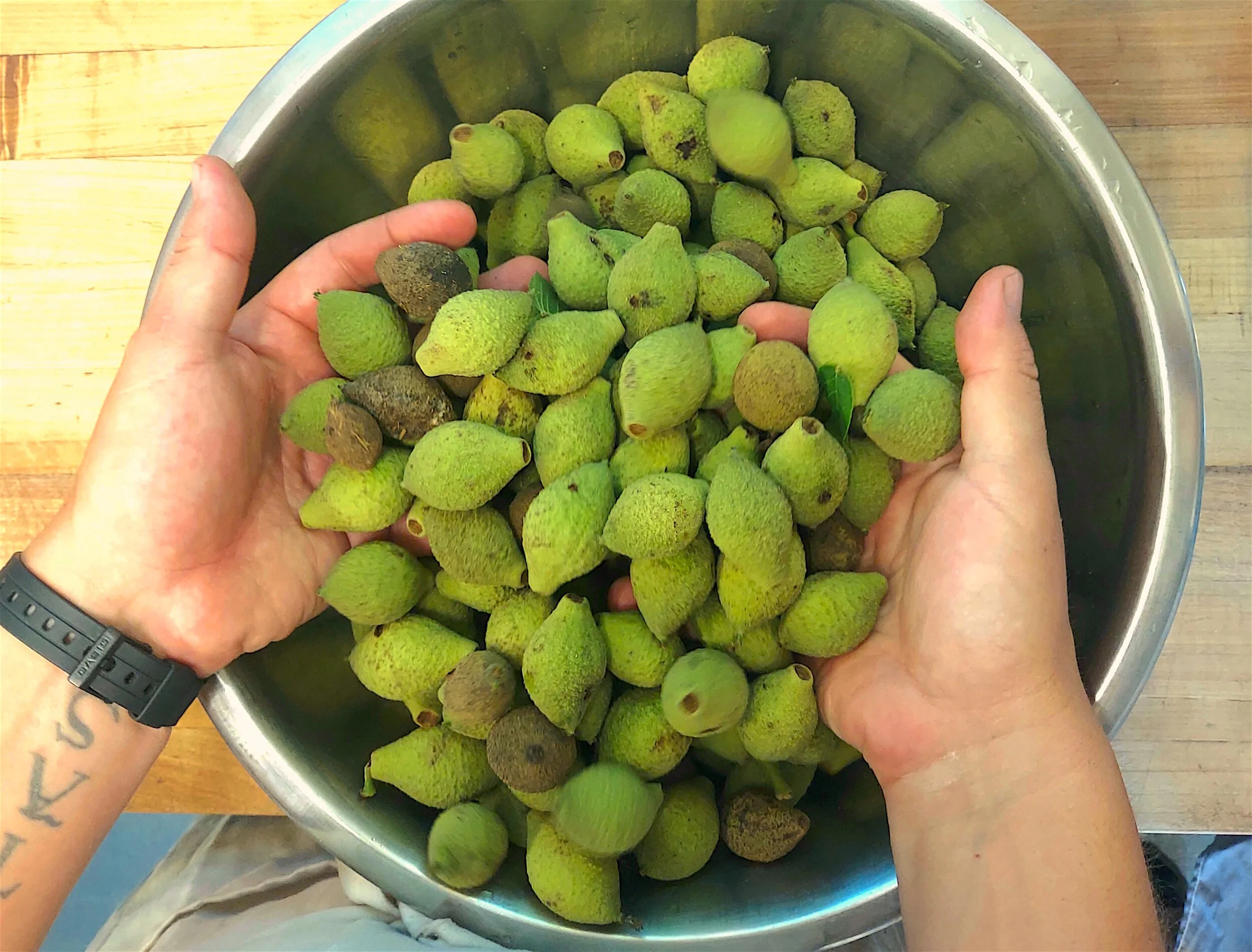 Story — Sumac in Sperryville, VA