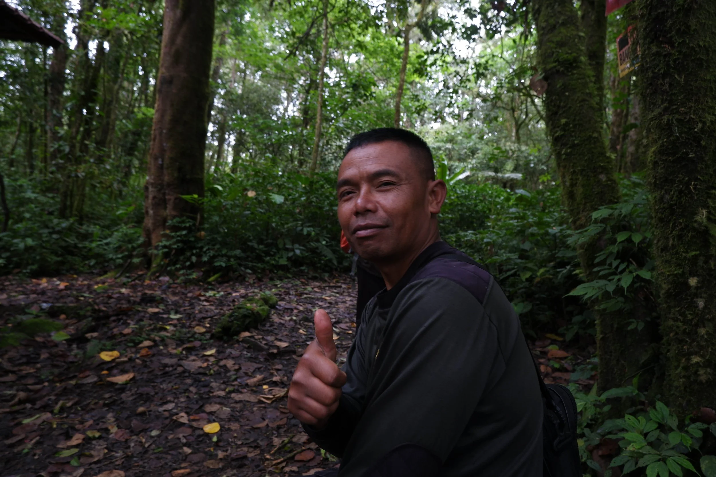 Kelinci Sumatera Yang Dianggap Hampir Punah Terlihat di Kerinci — SISJ ...