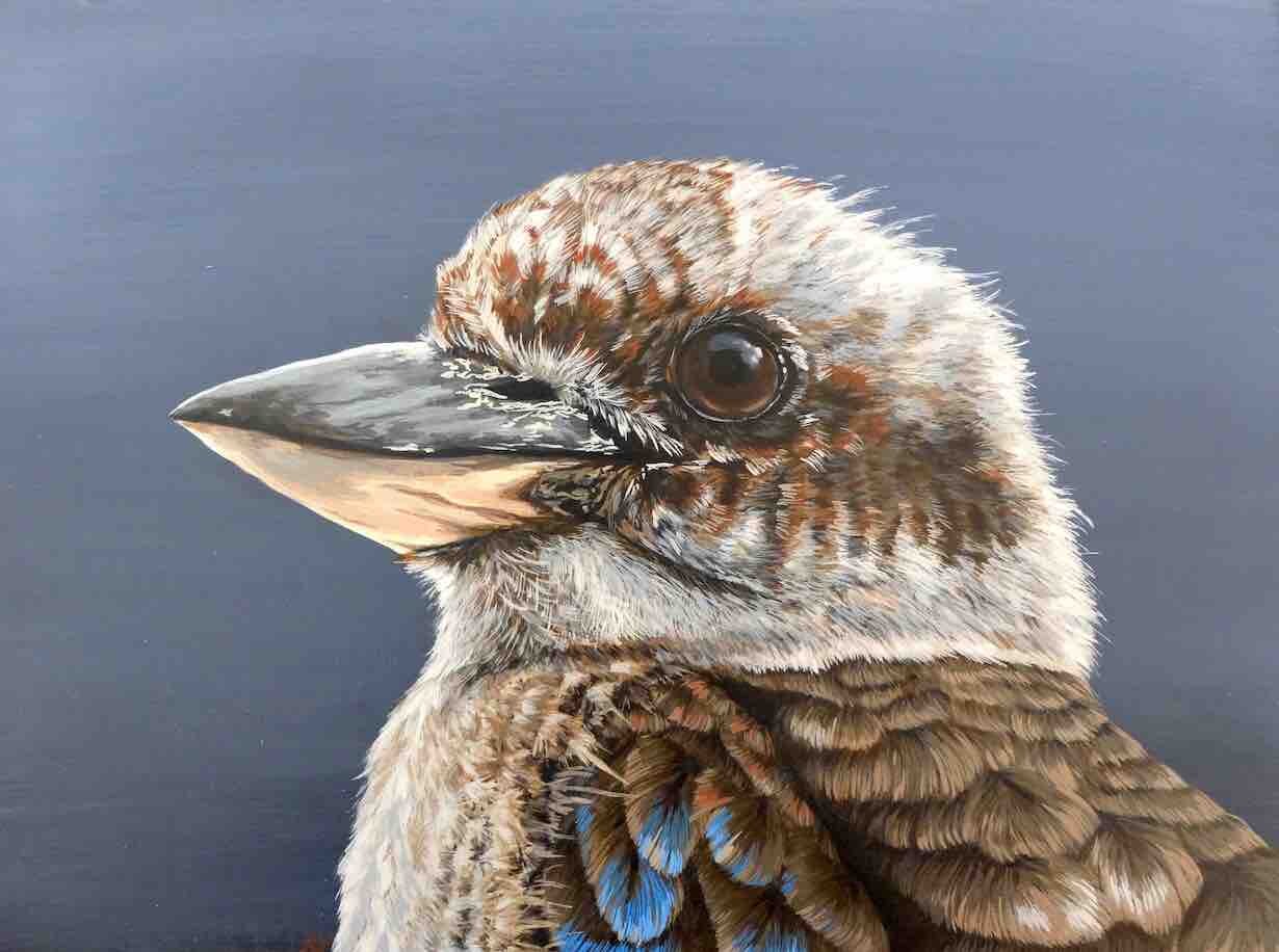 Gang Gang Cockatoo Art — Kate Marie Lewis Artist