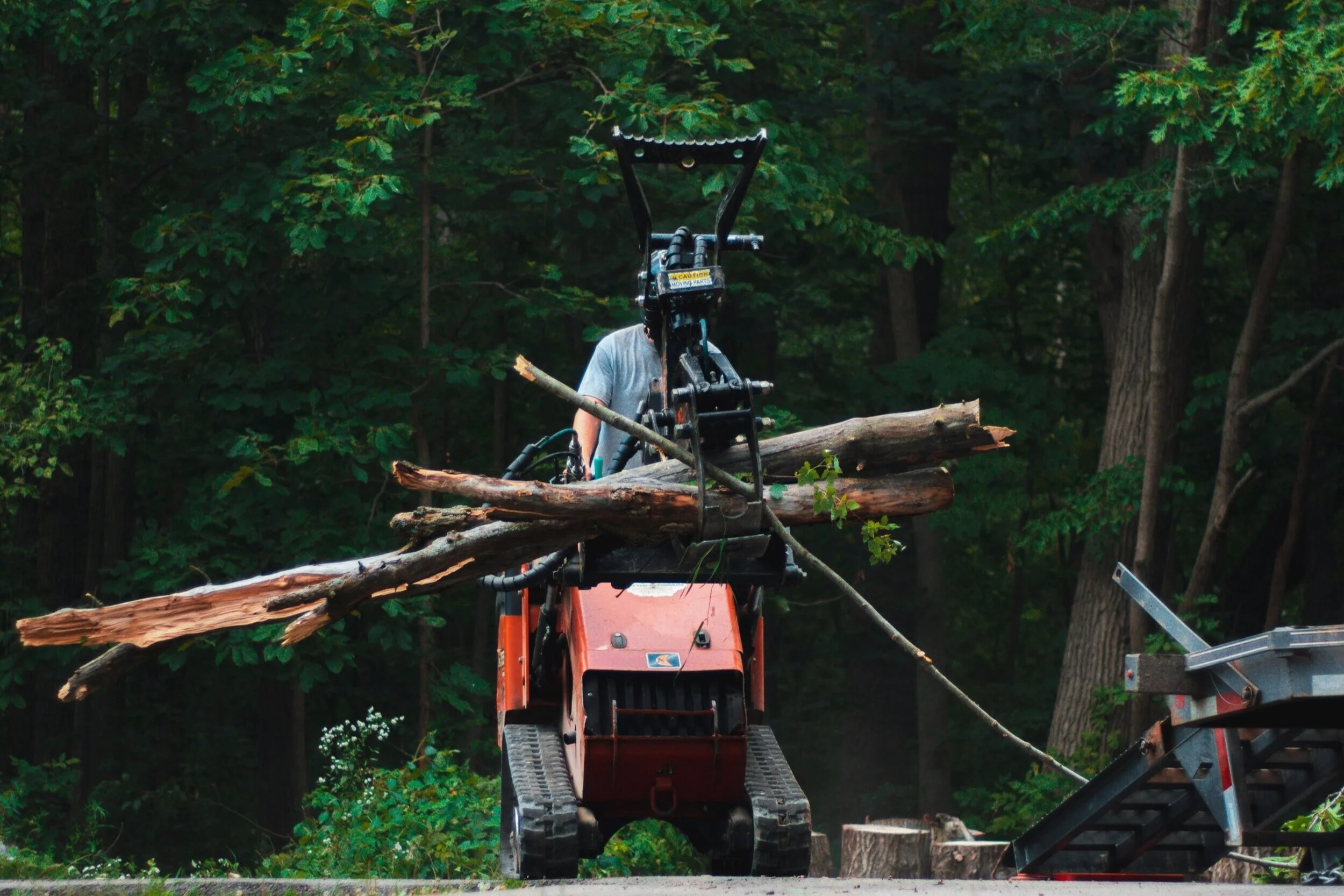 Services — Brandenberger Tree Care Professionals