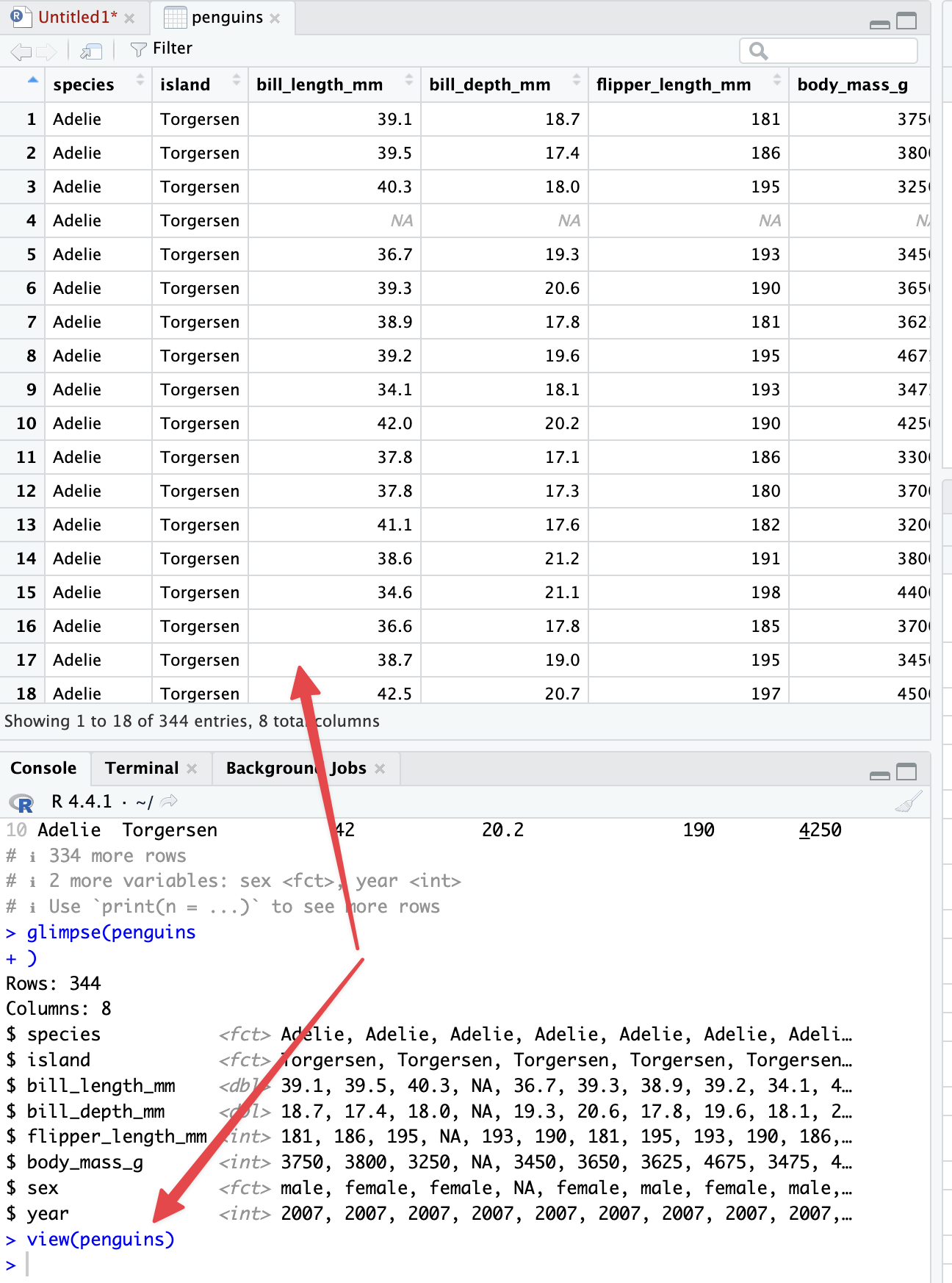 How to view a data set in R — Rainar Angelo