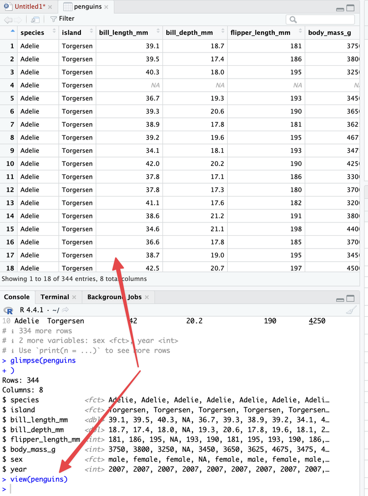 How to view a data set in R — Rainar Angelo